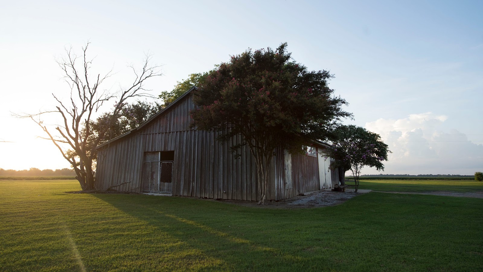 A Visit To Money, Mississippi