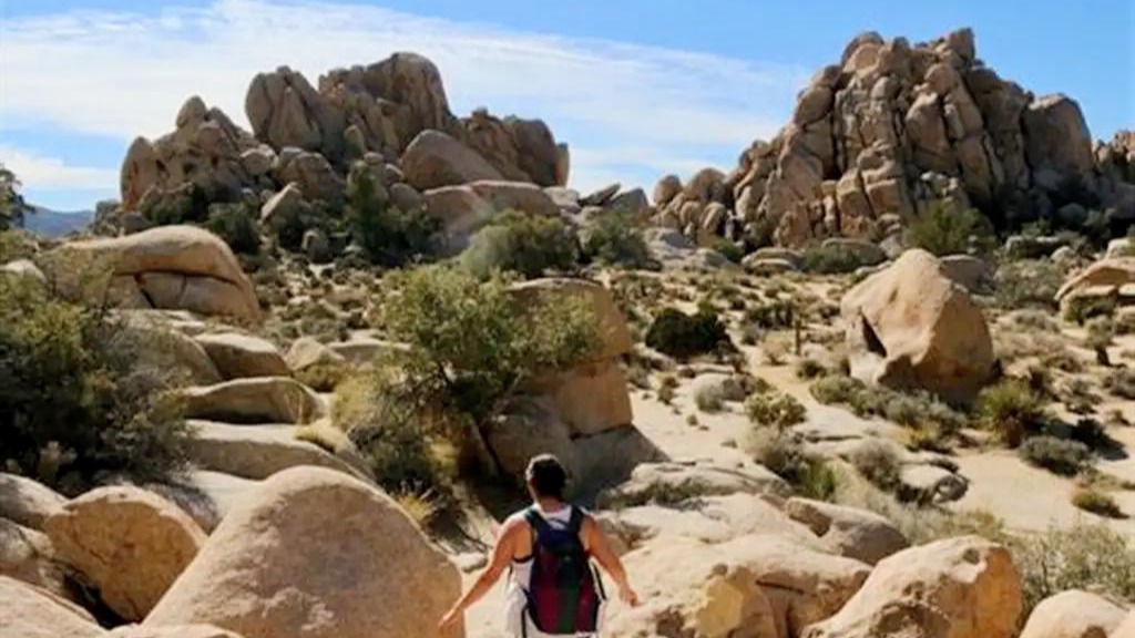 A Visit to Joshua Tree National Park